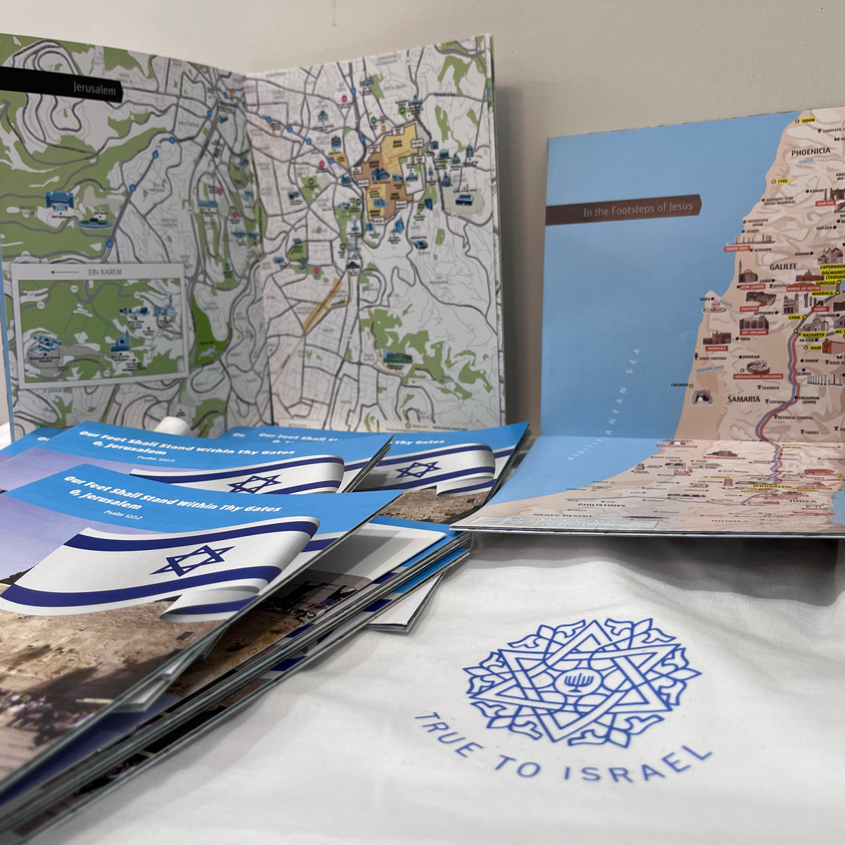 Map of Israel – True To Israel